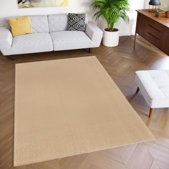 TAPISO Tapis de Salon Chambre MONO Beige Design Uni Résistant Intérieur ...
