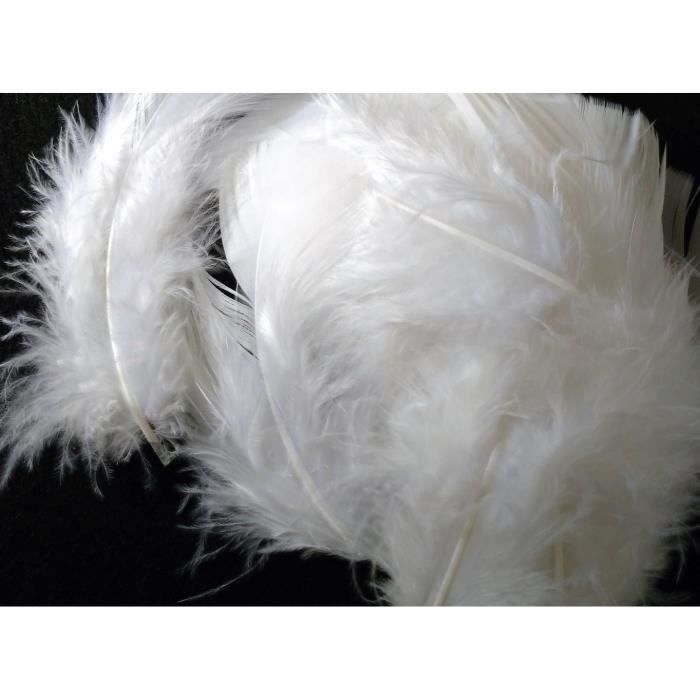 Décoration - Plumes naturelles - Lot de 50 plumes de 10 cm - Coloris au ...