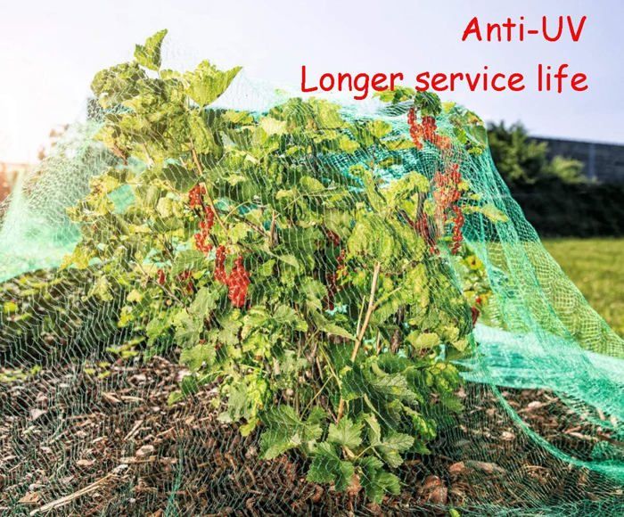 Filet De Protection Pour Oiseaux - Filet De Jardin - Filet De Piscine ...