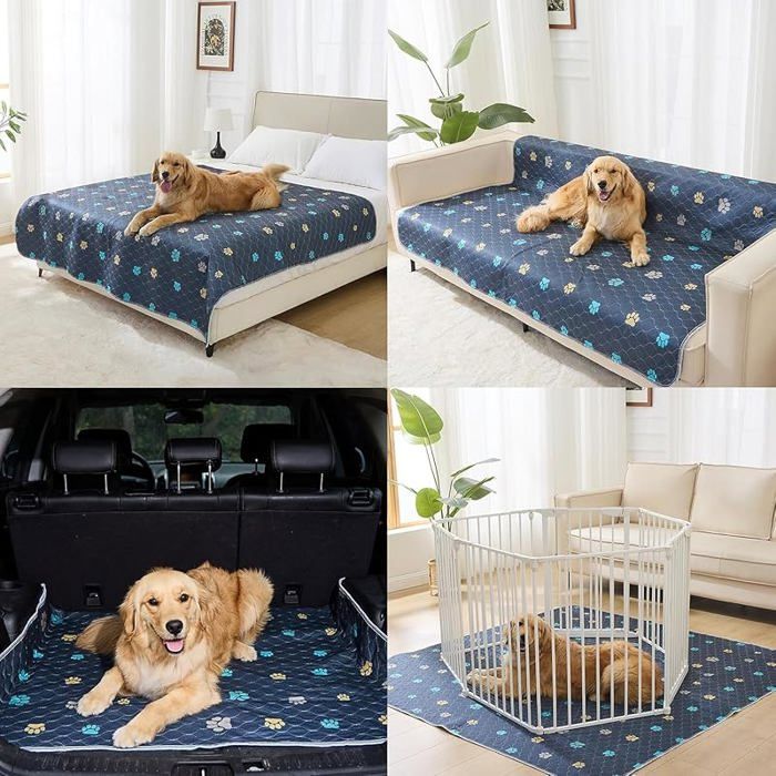Tapis Chien Absorbant Alaise pour Chien Lavables 182x182cm Tapis de ...