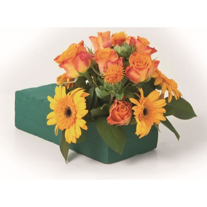 Mousse florale vert 23x11cm - Cdiscount Jardin