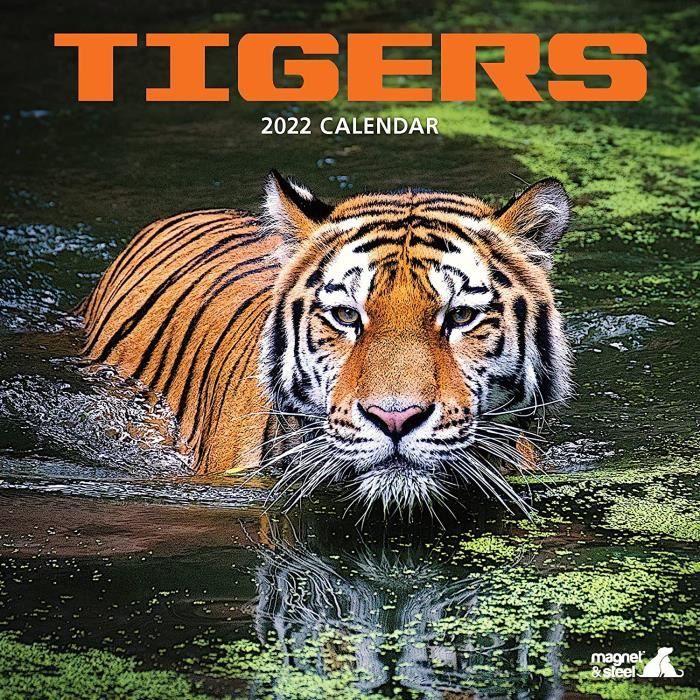 Tiger Calendrier 2022[767] - Cdiscount Beaux-Arts et Loisirs créatifs