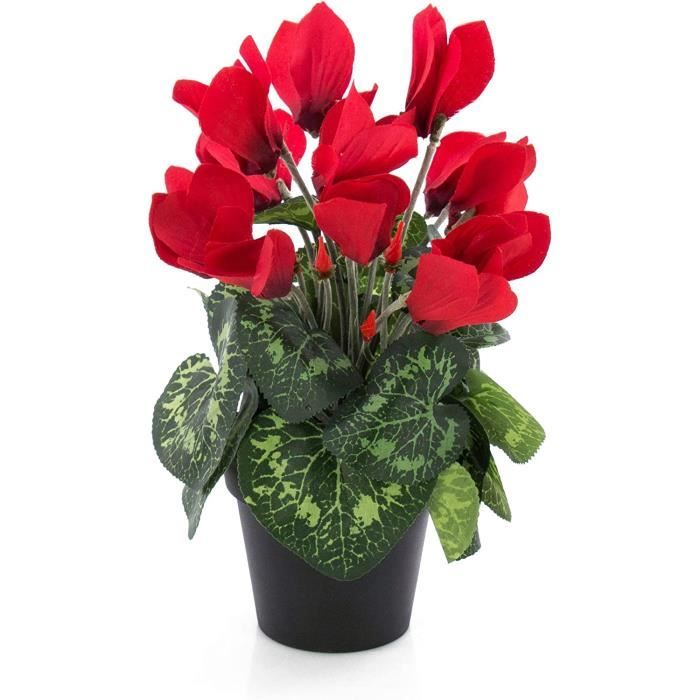 Cyclamen Artificiel dans Un Pot, 12 Fleurs, Rouge, 25cm - Fleur ...