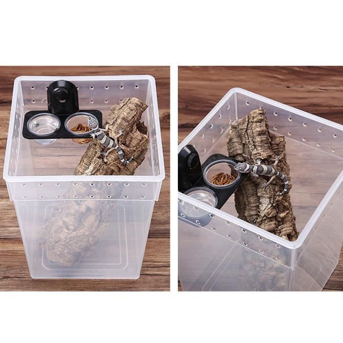 Bol à nourrir les reptiles - BOX 1 - Petit bol d'alimentation ...