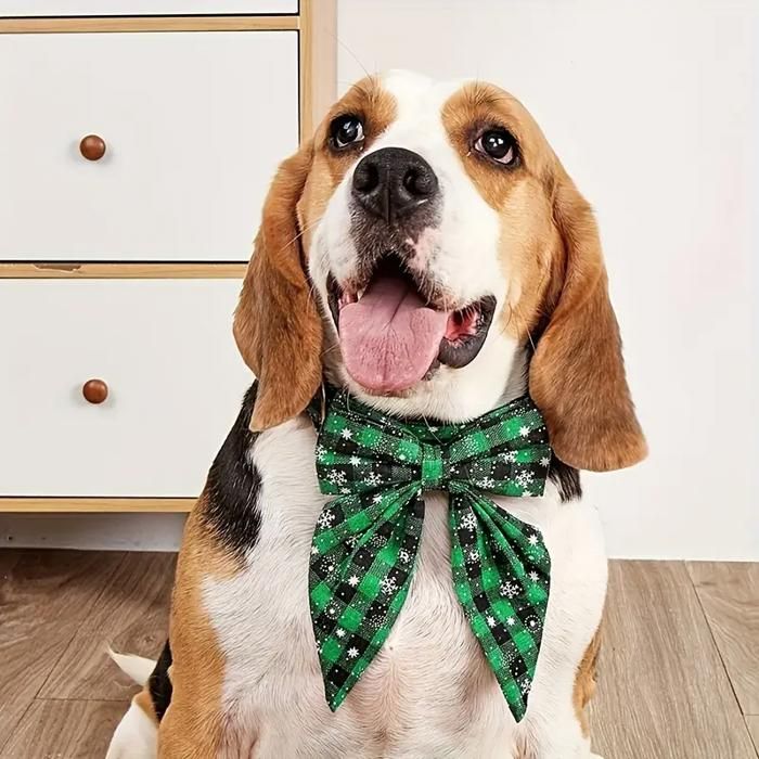 Collier Noel Pour Chien