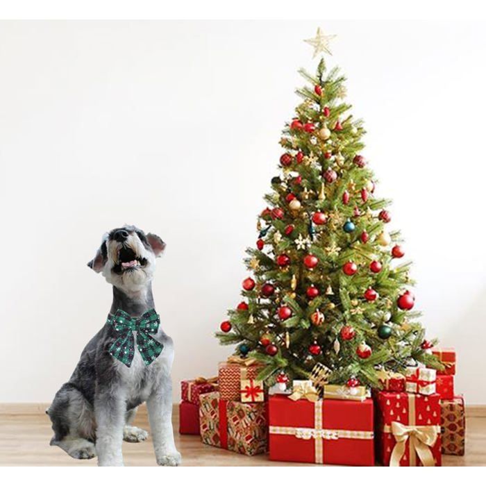 Collier Noel Pour Chien