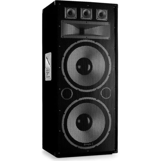 SkyTec TX215 PA - Enceinte passive 2 x 15", 1500 Watts, SPL 128dB, solide et compacte ...