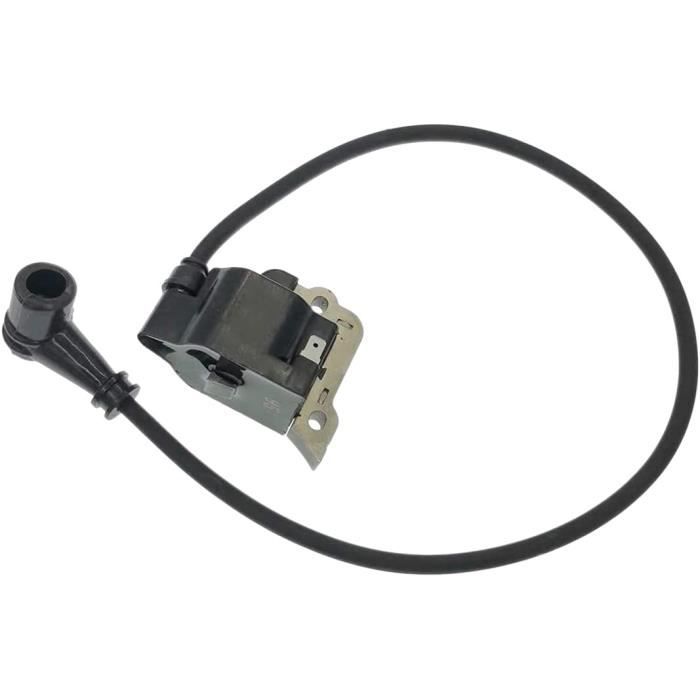 Module de Bobine D'Allumage de Moteur de Tondeuse à Gazon de Bobine de ...