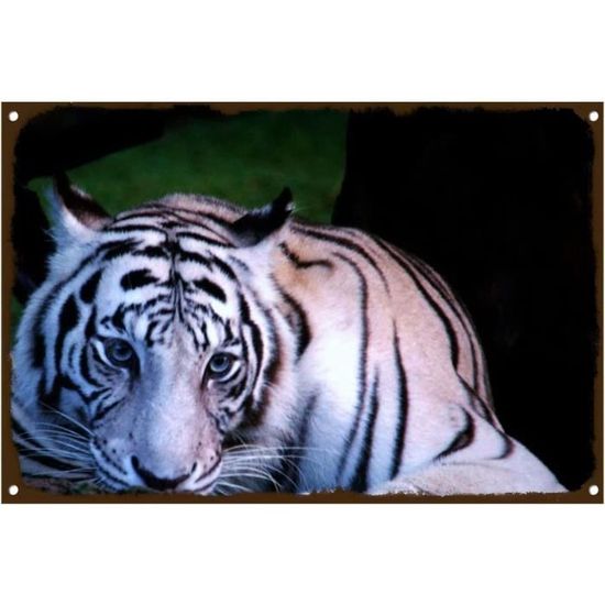 Métal Mur Affiche,Animaux de la forêt de Tigres,Vintage Étain Signe ...