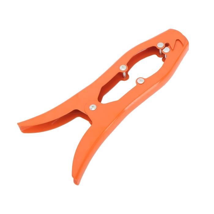 Omabeta ancre dentée Ancre de poignée en acier inoxydable, griffe dentée, pince d'ancrage ...