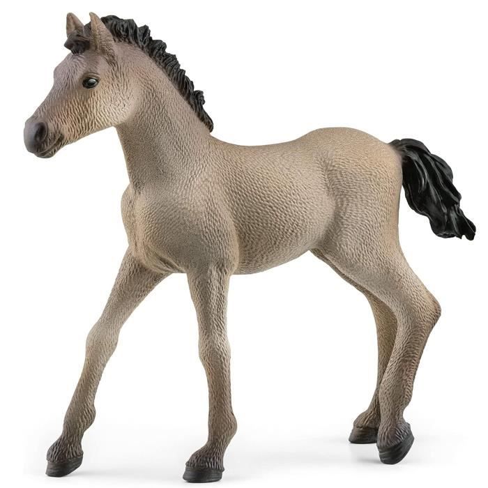 Figurine - SCHLEICH - SLH13949 - Poulain Criollo Definitivo - 5 ans et ...
