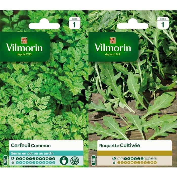 3235044 Cerfeuil Commun, Vert, 90 X 2 X 140 Cm & 3910741 Roquette ...
