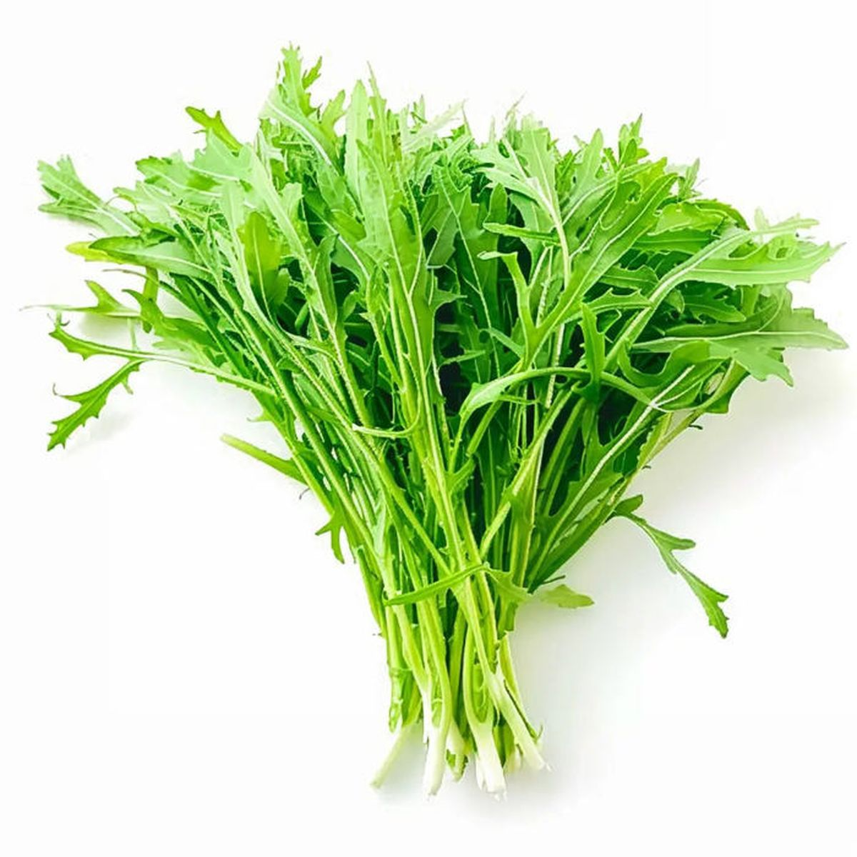 200 Graines de Chou Mizuna - salade légumes - semences paysannes ...