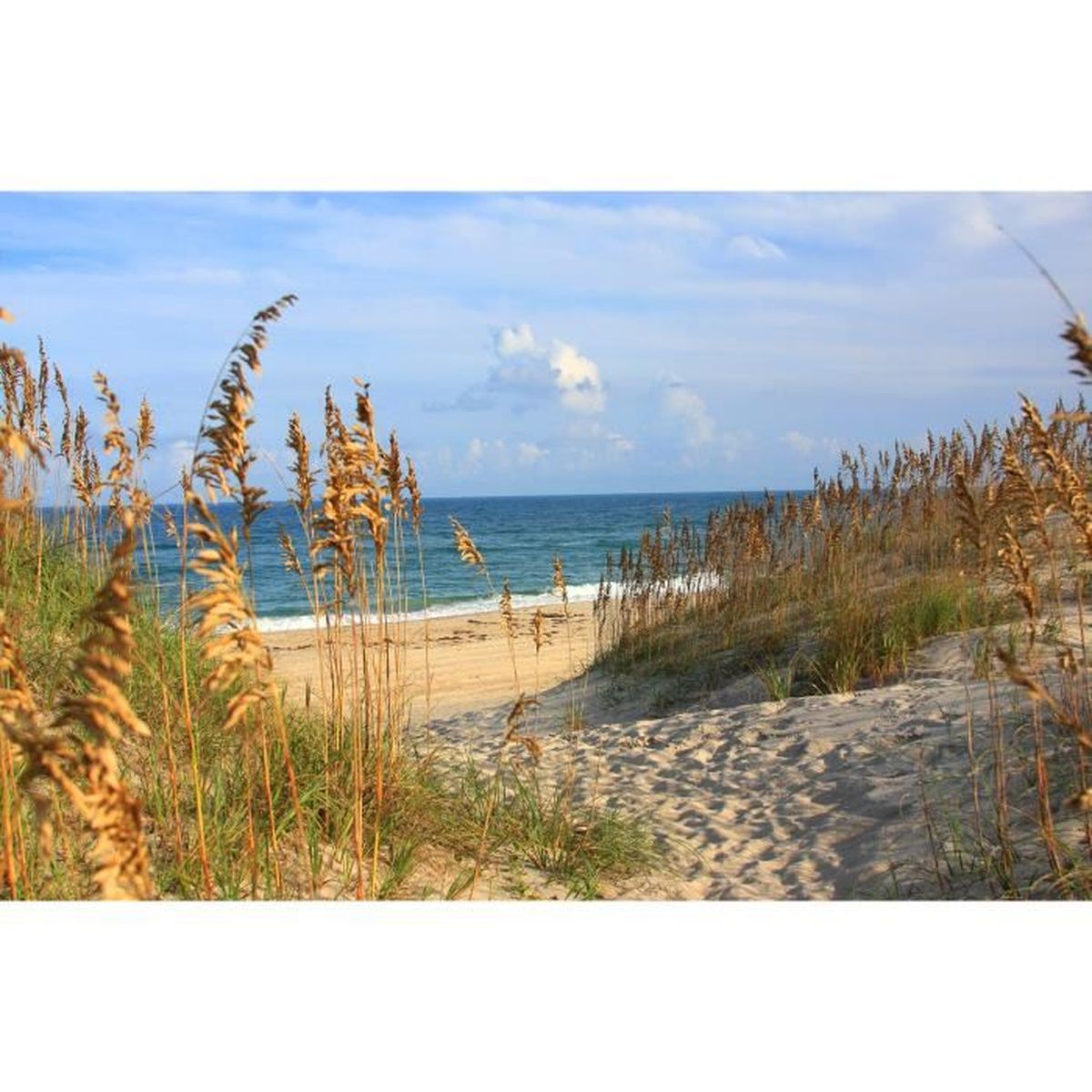 Papier Peint Photo Murale INTISSÈ (5780) DUNE SABLE-400x260cm ...