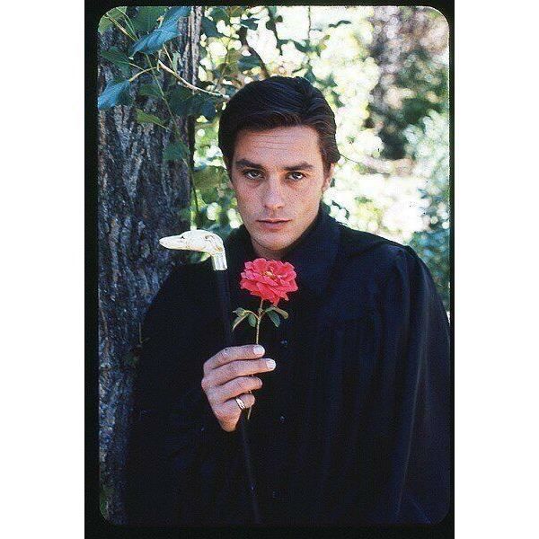 DDL-5 Puzzle enfant Puzzle adulte"Alain Delon"Puzzle de jeu de ...