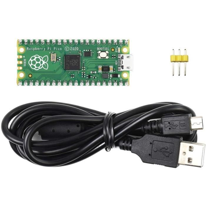 Barebone - Limics24 - Raspberry Pi Pico Low-Cost High-Performance Microcontroller Board With ...