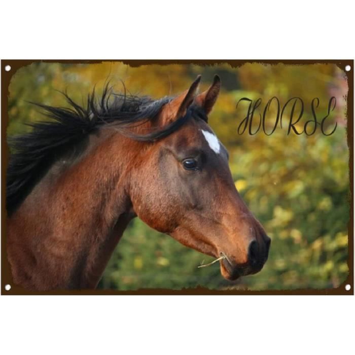 Décoration de Peinture Étain Vintage,Célèbre Cheval Animal,Affiche ...