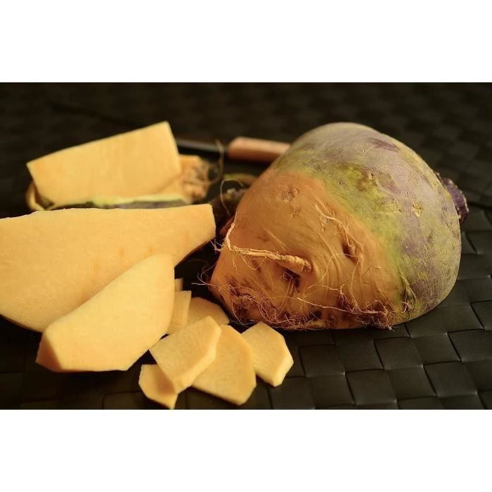 WEYE-Lot de 200 Graines de Chou Navet Rutabaga Jaune à Collet Rouge ...