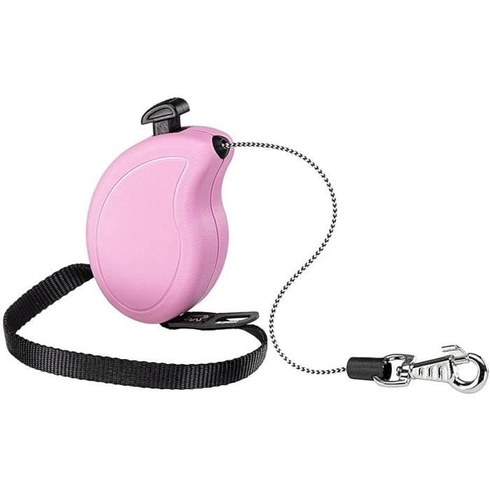 Laisse Chien Enrouleur Flippy One, Laisse Pour Petits Chiens Jusqu'À 8 ...