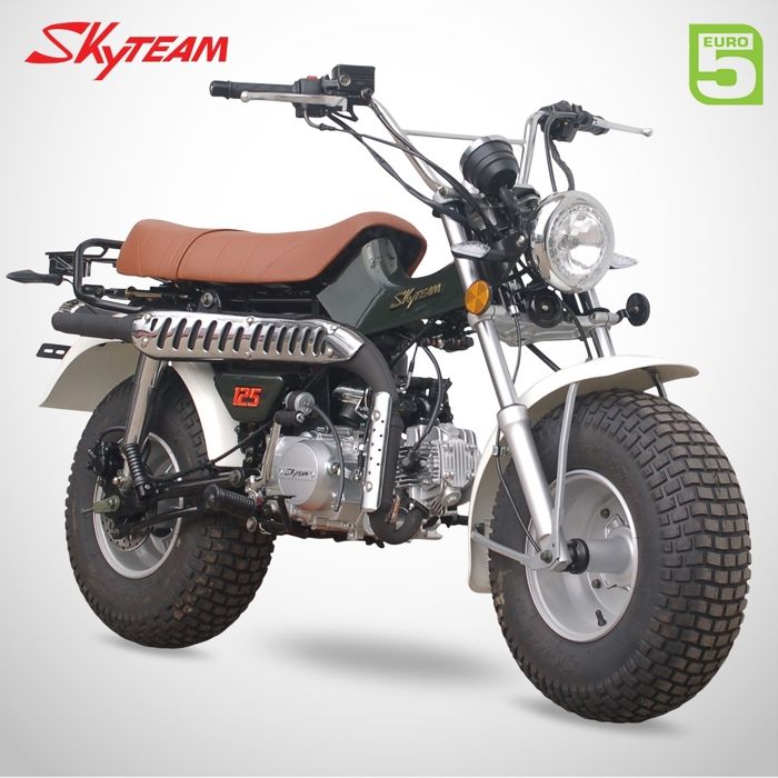 Mini Moto T-REX 125 SKYTEAM / Vert - Cdiscount Auto