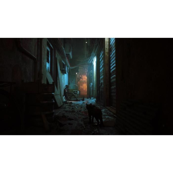 Stray Jeu PS5 - Cdiscount Jeux vidéo