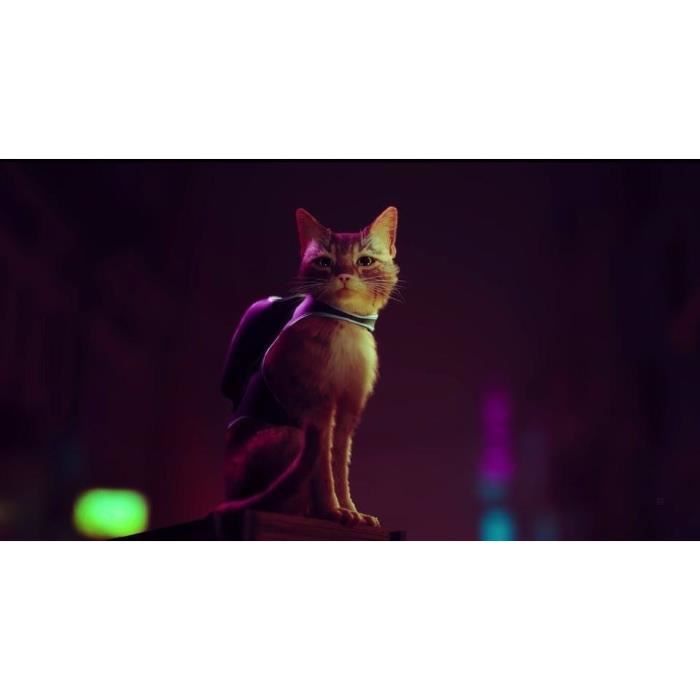 Stray Jeu PS5 - Cdiscount Jeux vidéo