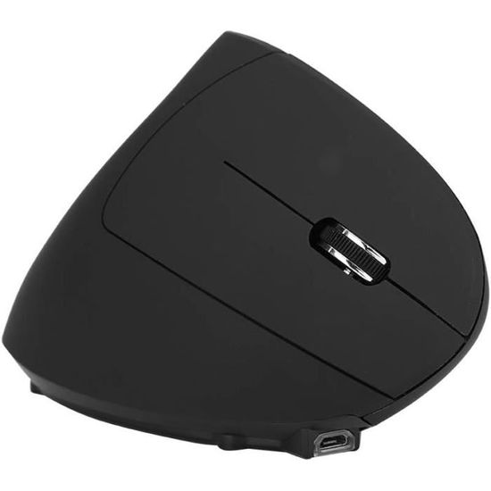 Wireless Gaming Mouse Ergonomique, 2.4G Optique 1600Dpi Rechargeable ...