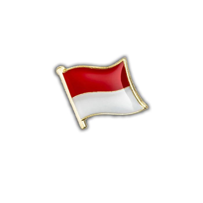 Pin's Drapeau Principauté de Monaco flottant - Monégasque Multi - Achat ...