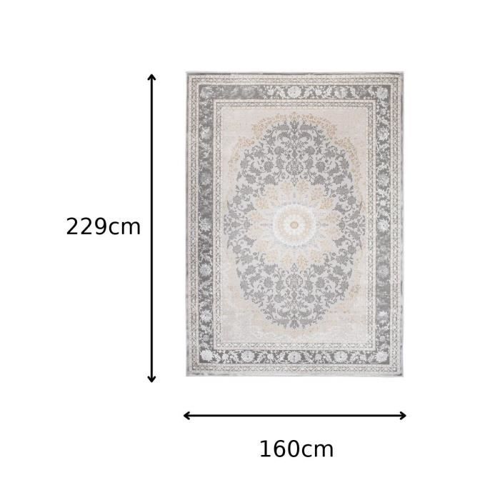 TAPISO Tapis de Salon Chambre HERA Gris Crème Beige Design Rosace ...