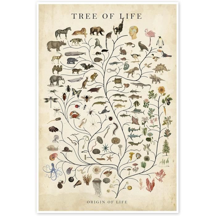 Tree Of Life Poster De Studio W Affiches Pour Toutes Les Pièces 80 X ...
