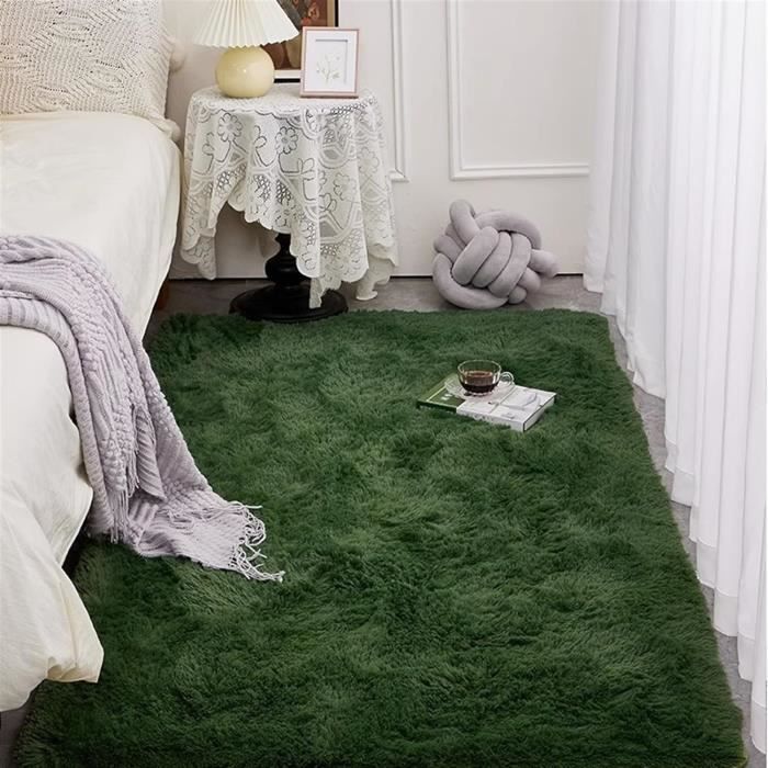 Tapis Doux Salon Tapis Anti Slip Moelleux Chambre Tapis Tapis Shaggy ...