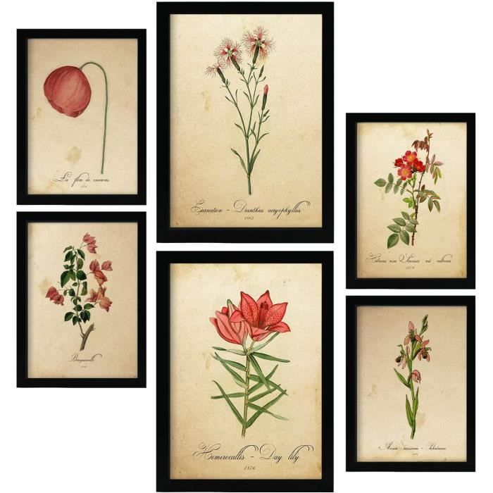 Fleurs Rouges Affiches. Illustrations Nature Et Botanique En Couleur ...