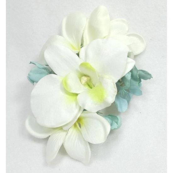 10749 – Semis Gazon Décoratif, 1 Kg[u1912] - Cdiscount Jardin