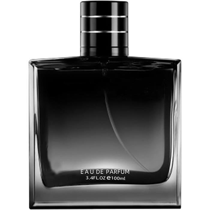 Parfum Pour Hommes Parfum Vaporisateur 100Ml Parfum Parfum Frais Et ...