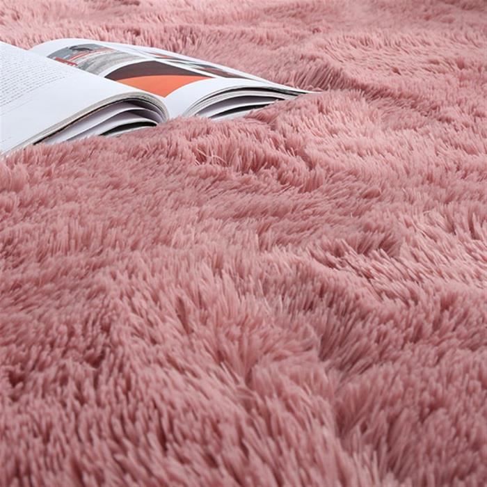 Tapis Doux Salon Tapis Anti Slip Moelleux Chambre Tapis Tapis Shaggy ...