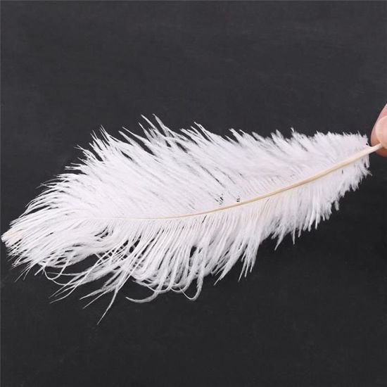 60 Pièces Plume D'Autruche Naturelle Blanche 20-25cm Mariage Bricolage ...