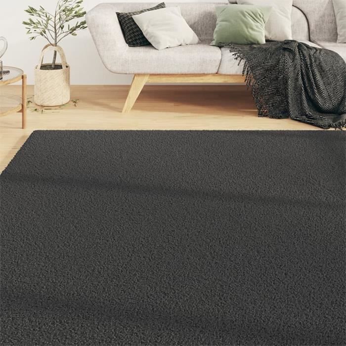 YOSOO Décorations - Tapis shaggy à poils longs Anthracite 160x230 cm ... YOSOO Décorations - Tapis shaggy à poils longs Anthracite 160x230 cm ...