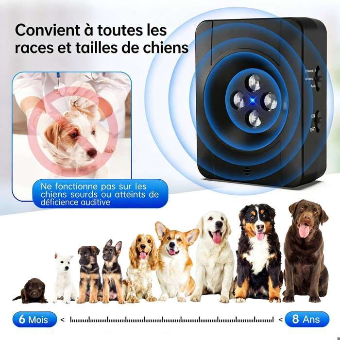 Anti Aboiement à Ultrason Longue Portée pour Chien - 10M Détection ...