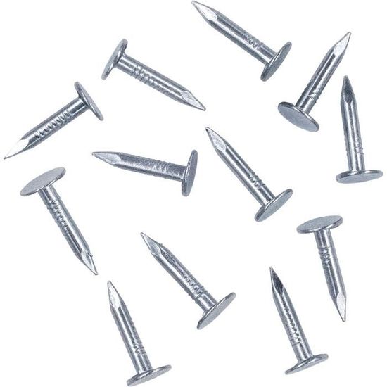 Lot De 300 Clous En Carton De Toiture En Acier 3 X 20 Mm, Clous En ...
