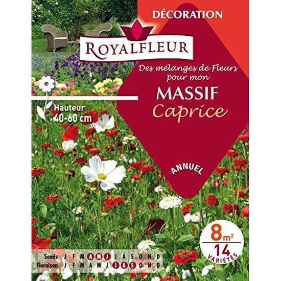 Royalfleur PFRE08697 Graines de Mélange de Fleurs mon Massif Caprice 8 ...
