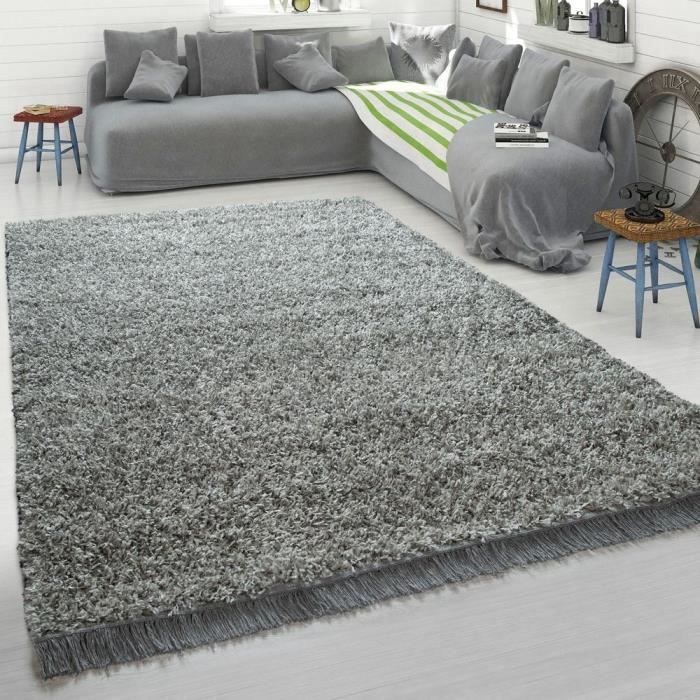 Tapis Salon, Poils Longs Shaggy, Doux Robuste Résistant Moelleux [Gris, 200x280 cm] - Cdiscount ...