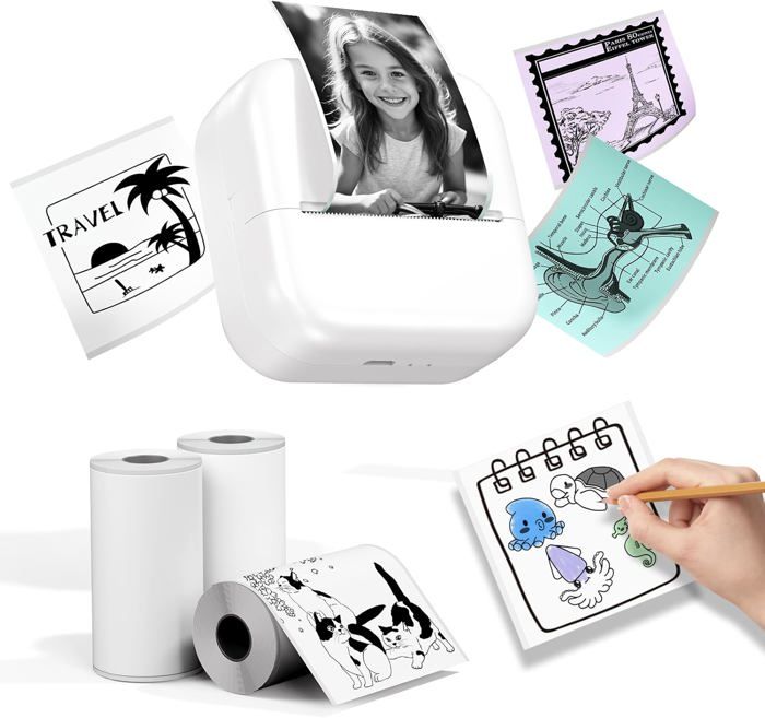 Mini Imprimante Thermique M02L,Bluetooth Imprimante Portable Etiquettes ...