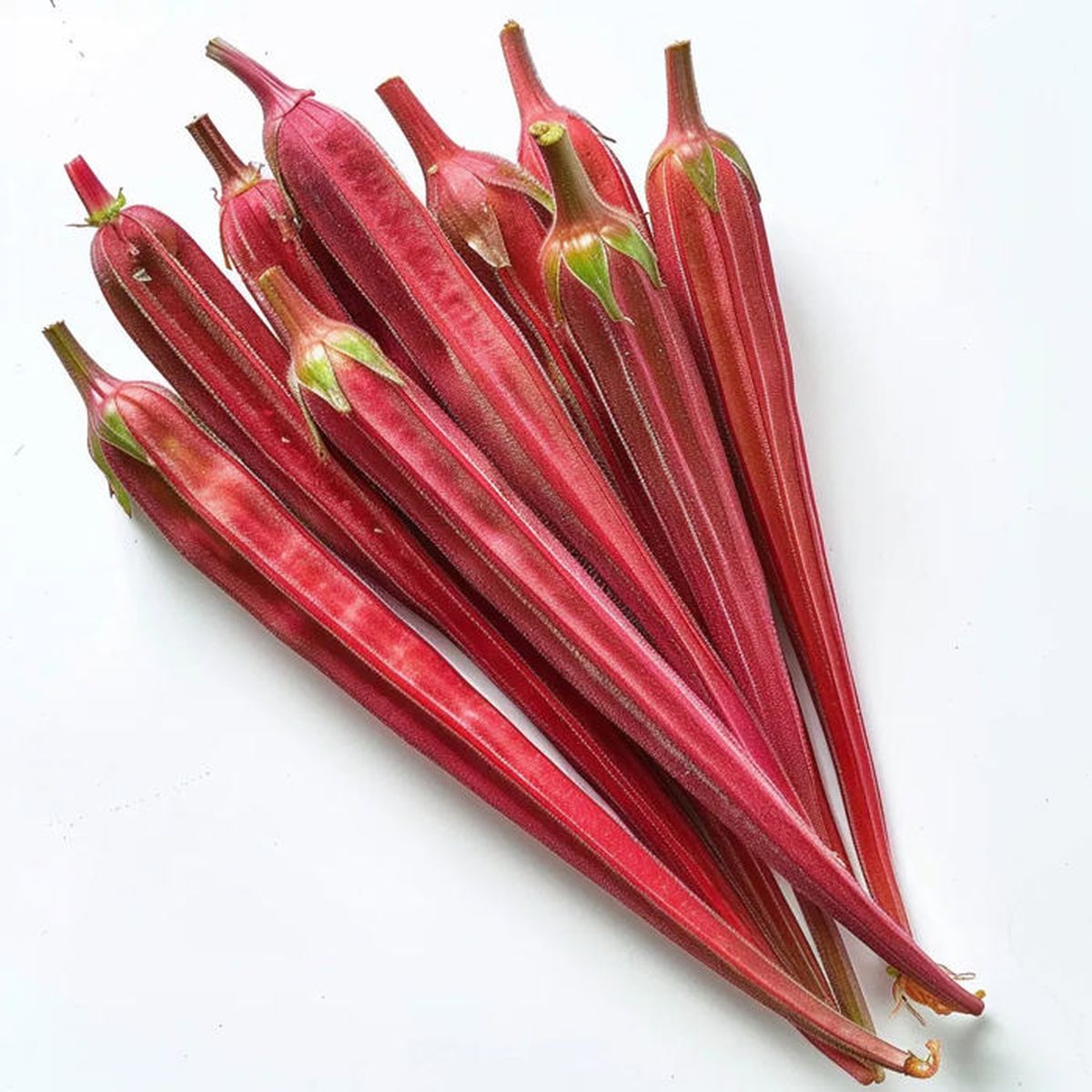 25 Graines de Gombo Rouge -Okra - fleurs légume -semences ...