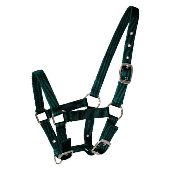 Cheval - LICOL POULAIN VERT - Cdiscount Animalerie