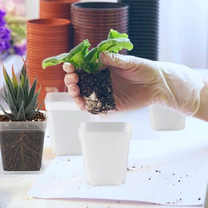 Petit Pot de Fleurs Semis,30pcs Godet Semis Plastique, Pot de Repiquage ...