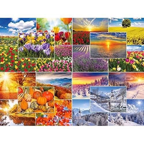 Quatre Saisons: Set De Cartes Postales Nature-Paysage, Lot De 20 Cartes ...