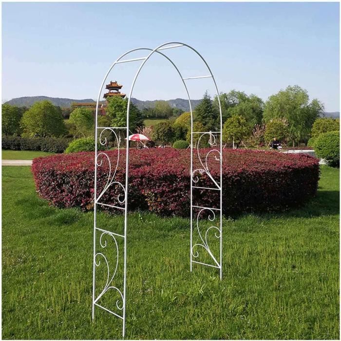 LYBC Arche Jardin avec Décor,Arceau À Rosiers Tuteur Colonne De Jardin ...