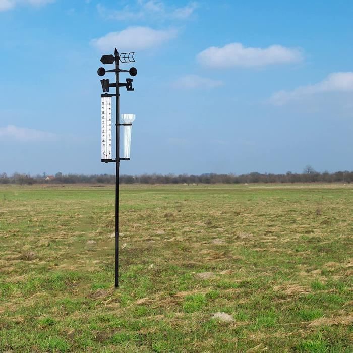 Walaka Grande station météo avec pluviomètre Station Météo Thermomètre ...