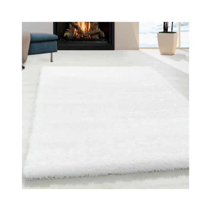 Tapis Modern Soft Shaggy à poils longs 50mm en couleur Blanc (120x170 cm) - Cdiscount Maison