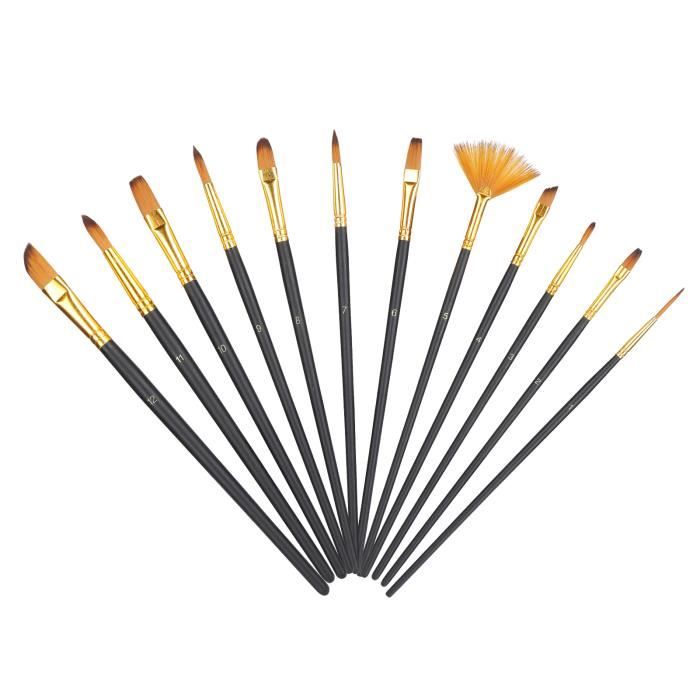 Dilwe ensemble de pinceaux de peinture 12pcs pinceaux mis en nylon ...